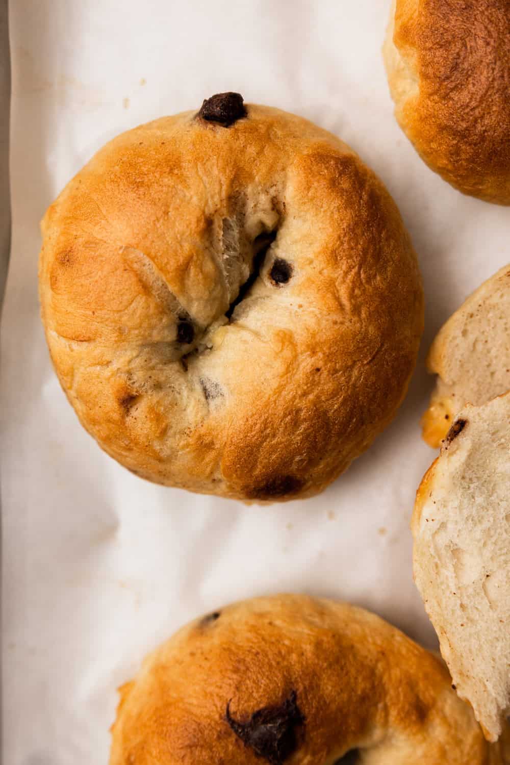 Double Chocolate Chip Bagels › Bread Baking Babe