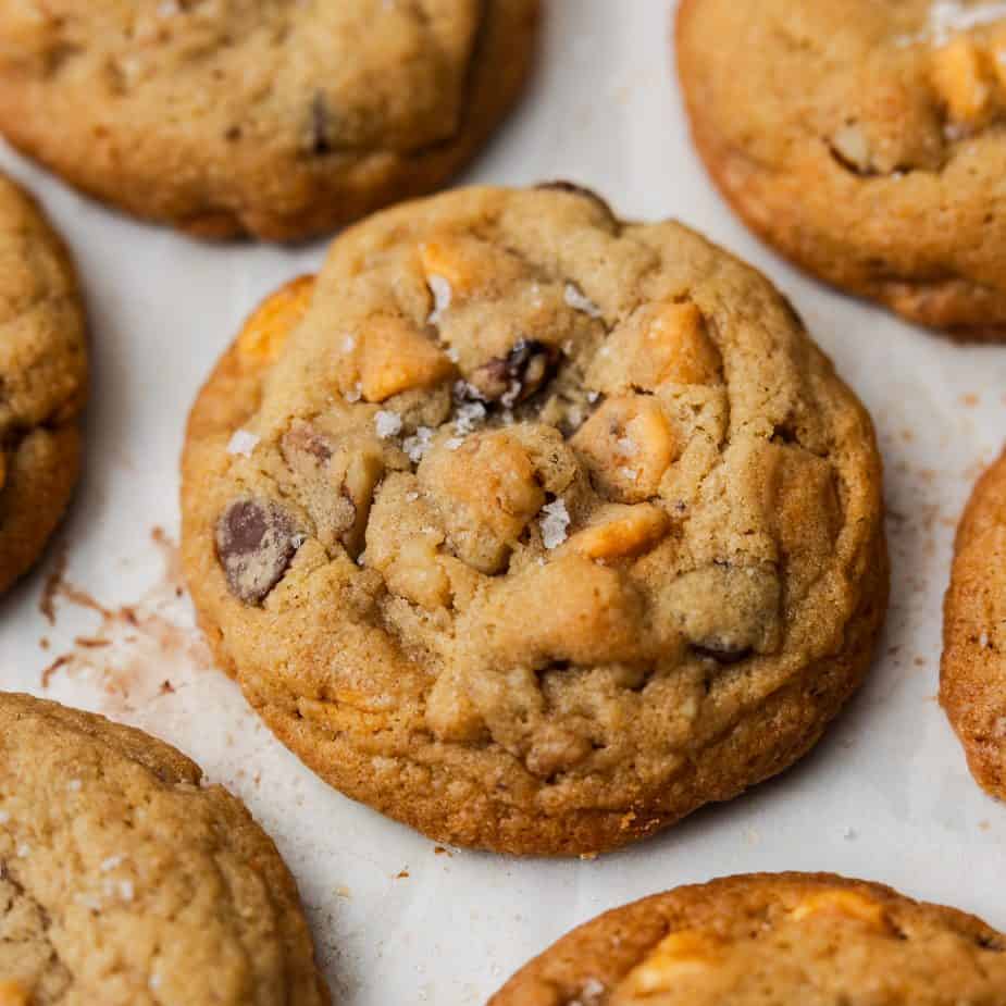 Nutty Butterscotch Chocolate Chip Cookies › Bread Baking Babe
